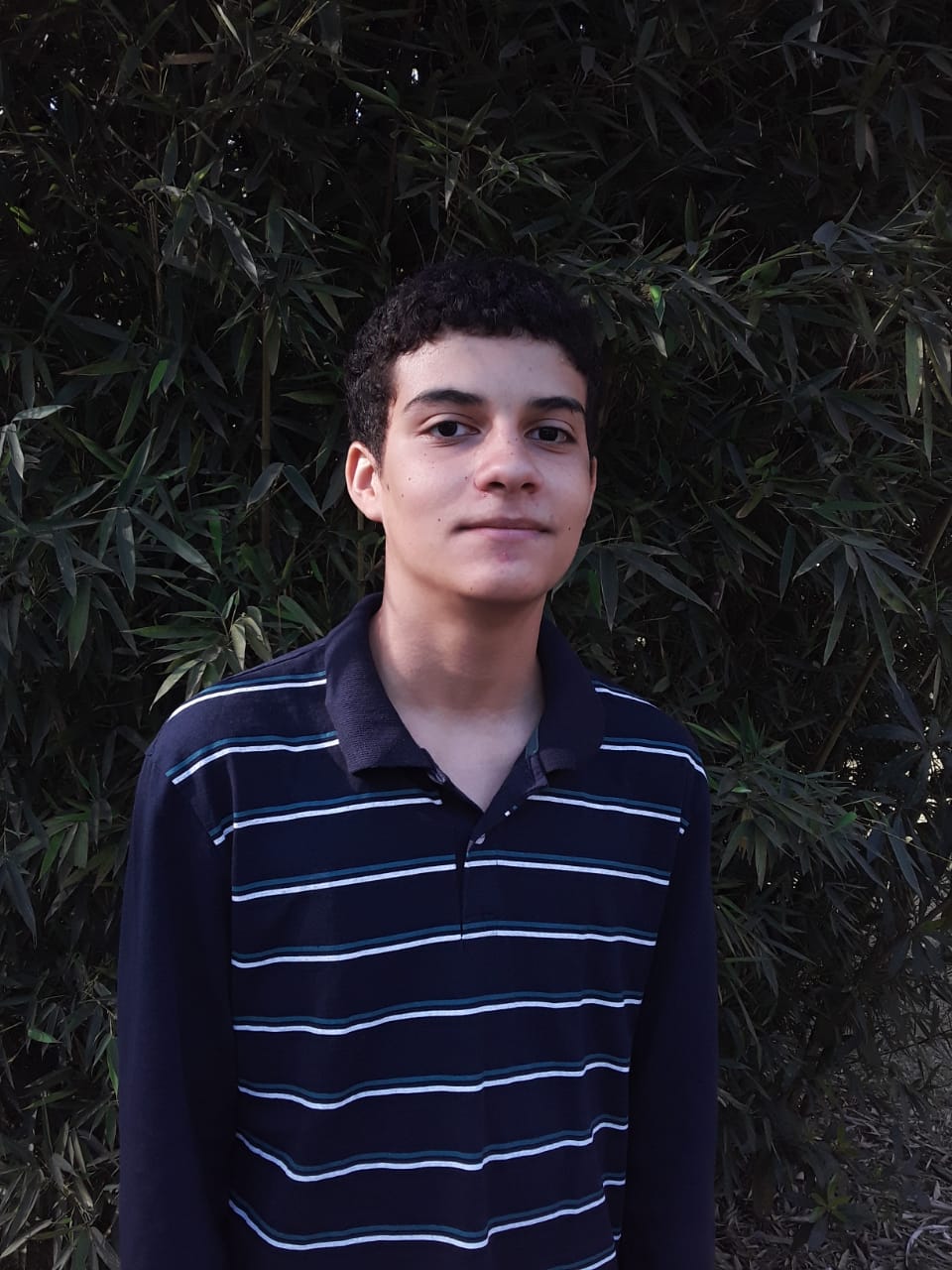 Resume - Start Bootstrap Theme